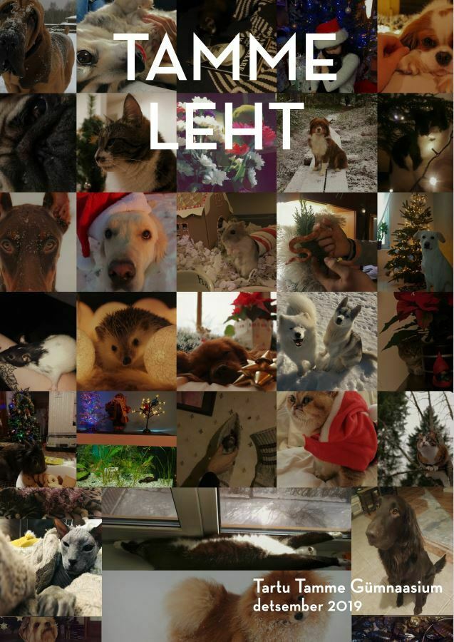 Tamme Leht » Tartu Tamme Gümnaasium